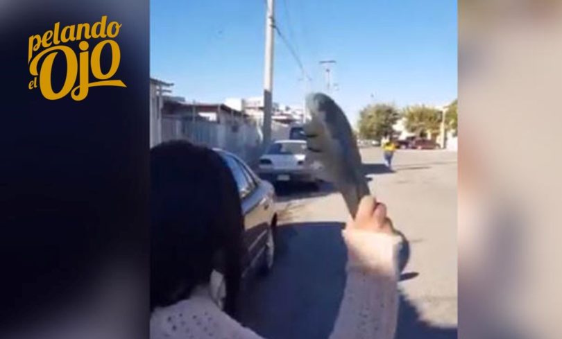 Viral: ¡El poder de la chancleta en su máxima expresión! - Pelando el Ojo